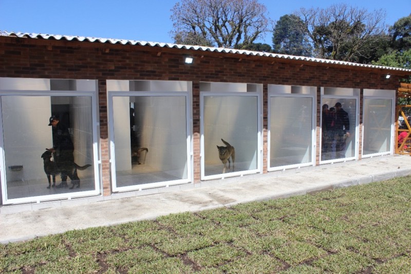 Susepe inaugura primeiro canil da 7ª Delegacia Penitenciária Regional ...